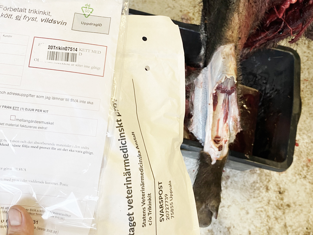 Trikiner og trikintest - Jagt-Jakt